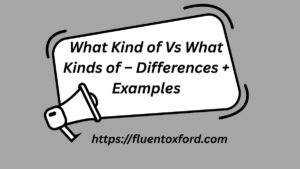 What Kind Of Vs What Kinds Of – Differences + Examples