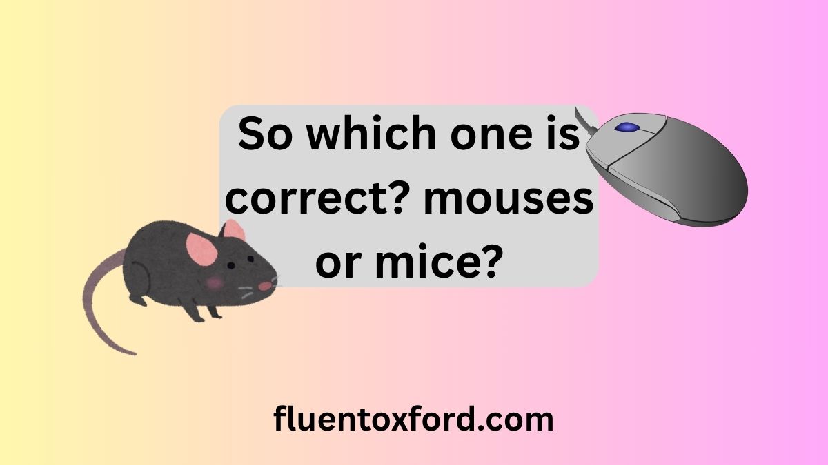 Mouses Vs Mice: What’s The Correct Plural Of Mouse?