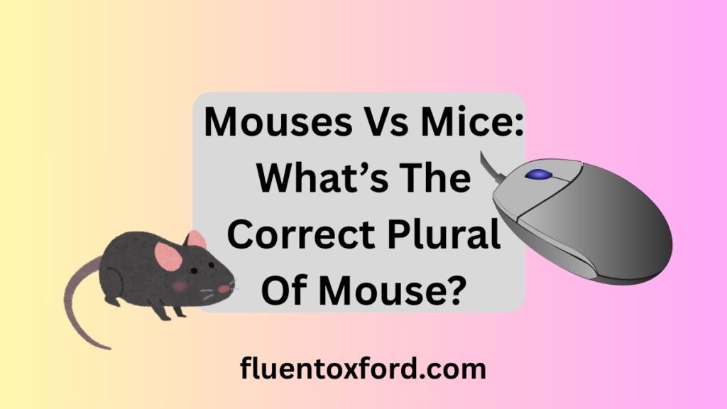 Mouses Vs Mice: What’s The Correct Plural Of Mouse?