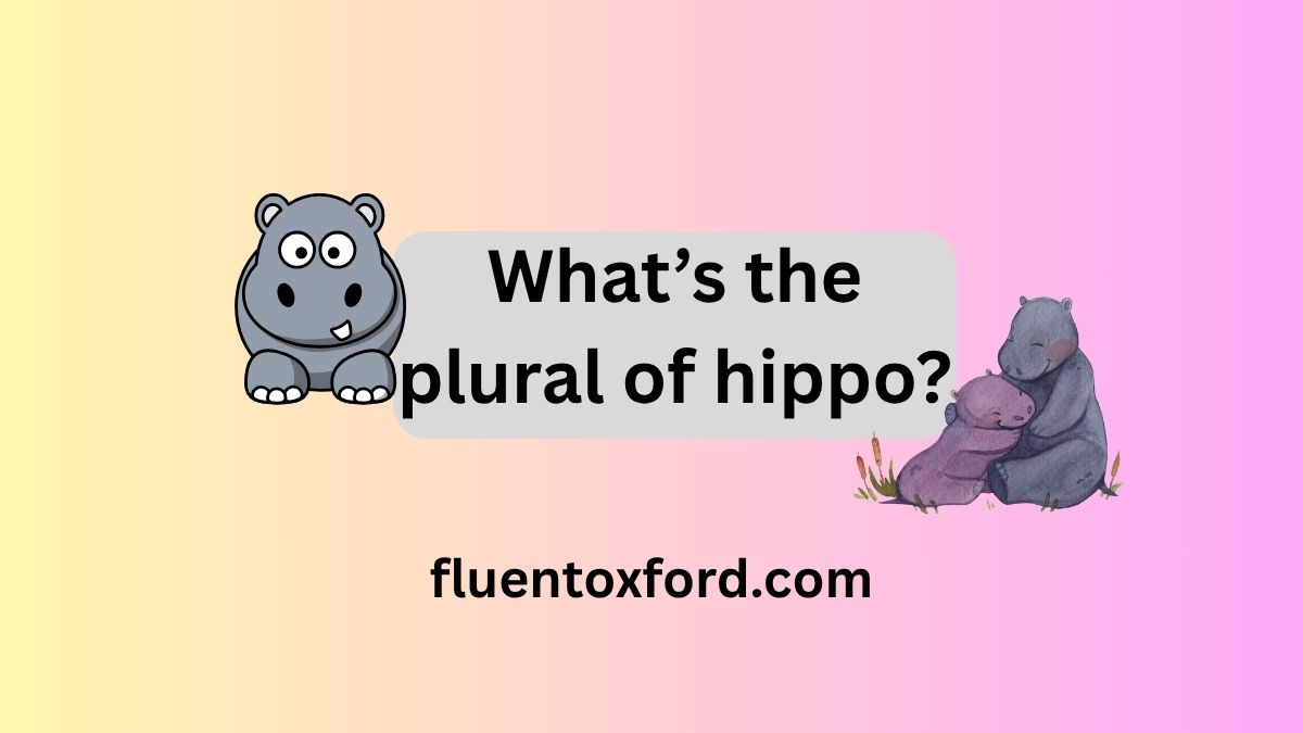 What’s The Plural of Hippopotamus? Is It Hippopotamuses?