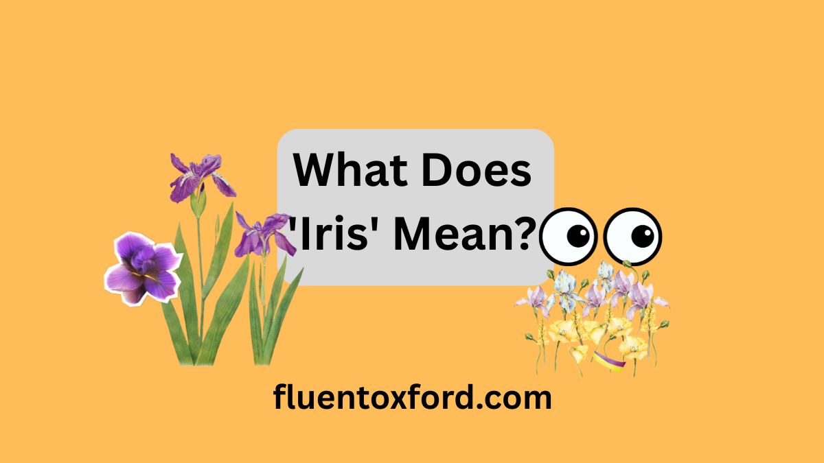 What’s The Plural Of Iris? Explanation With Examples
